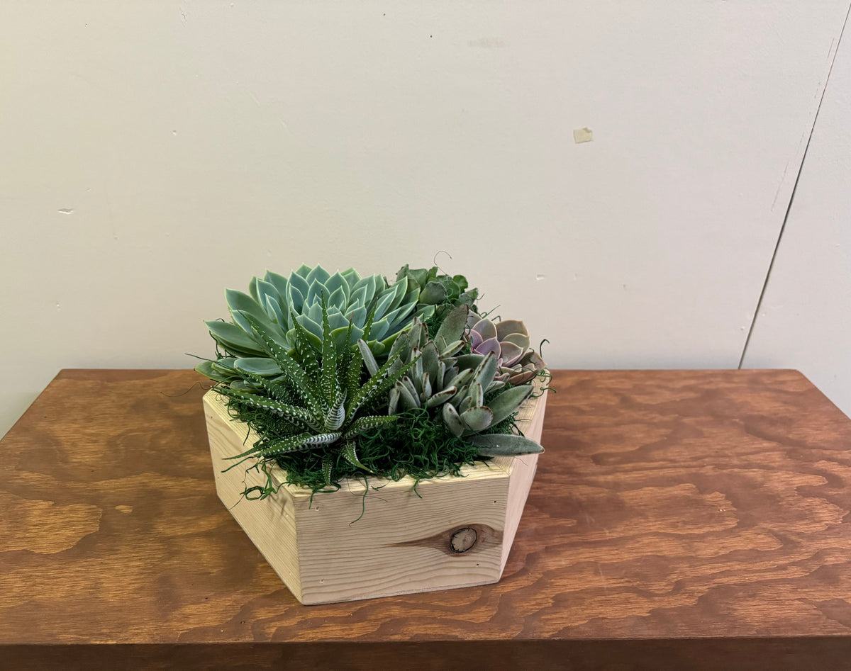 Wood Hexagon Box/Container– Floral Props and Design