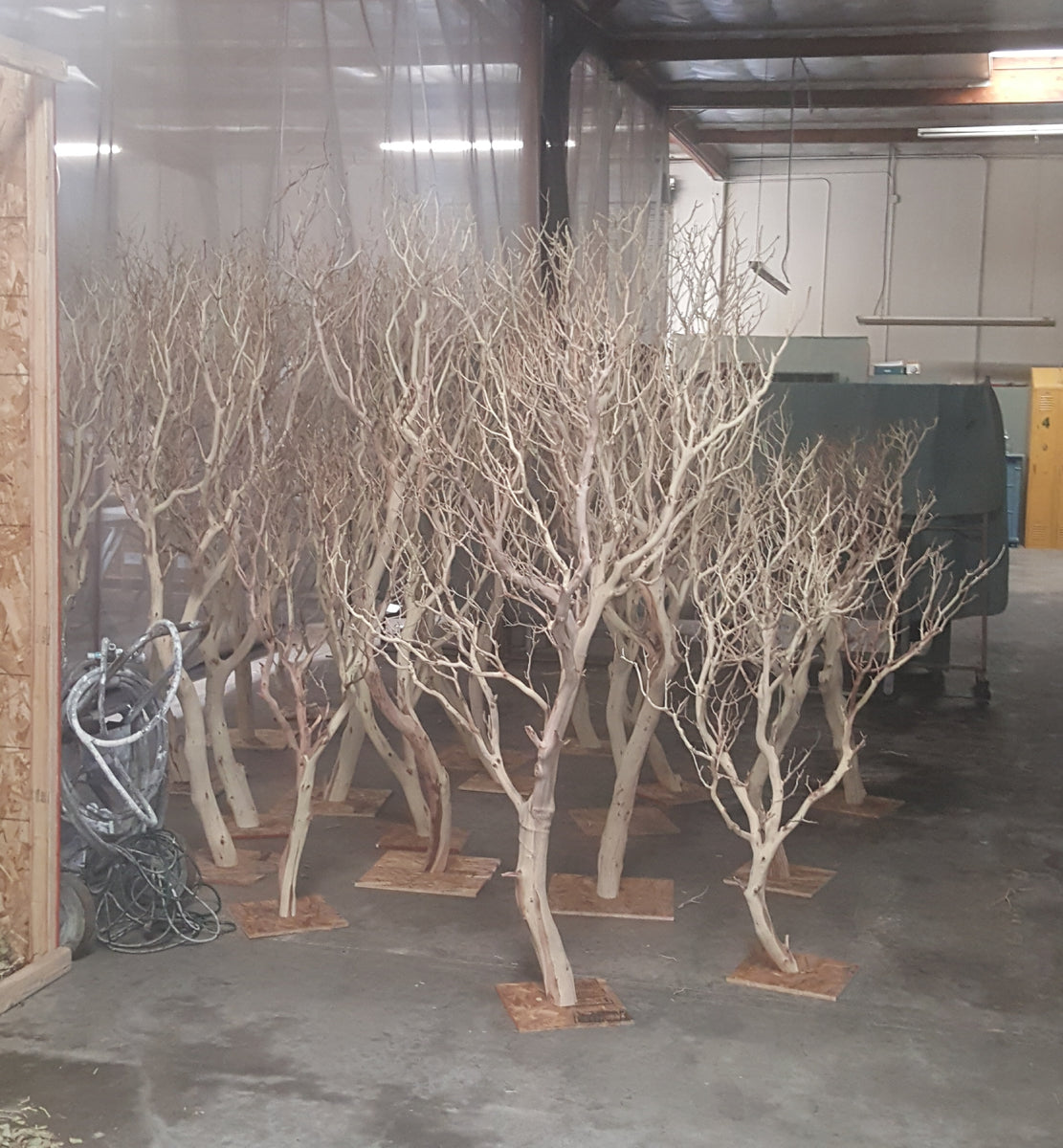MANZANITA SANDBLASTED TREE | Floral Props and Design