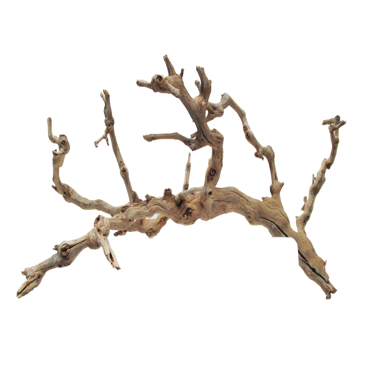 GRAPEVINE SKINNY BRANCH– Floral Props and Design