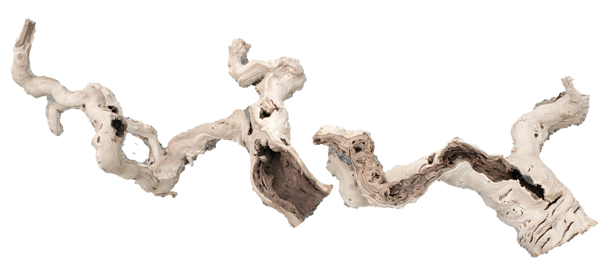 GRAPEVINE "V" SHAPED BRANCH | Floral Props and Design