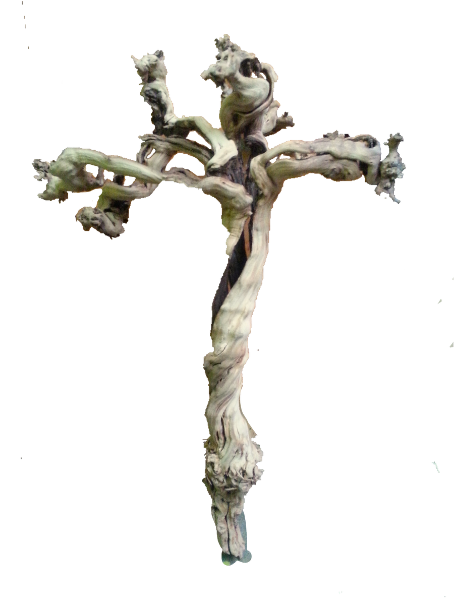 GRAPEVINE "T" SHAPED BRANCH– Floral Props and Design