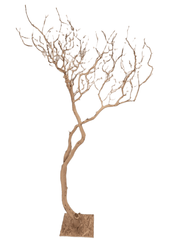 MANZANITA SANDBLASTED TREE | Floral Props and Design