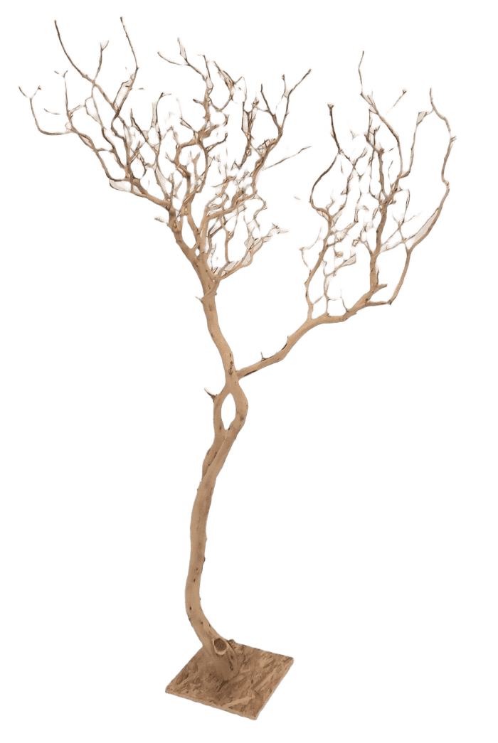 MANZANITA SANDBLASTED TREE | Floral Props and Design