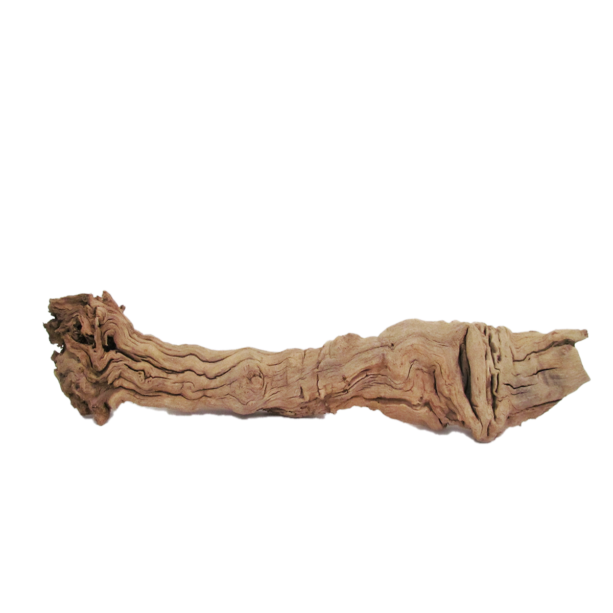 GRAPEVINE LOG | Floral Props and Design